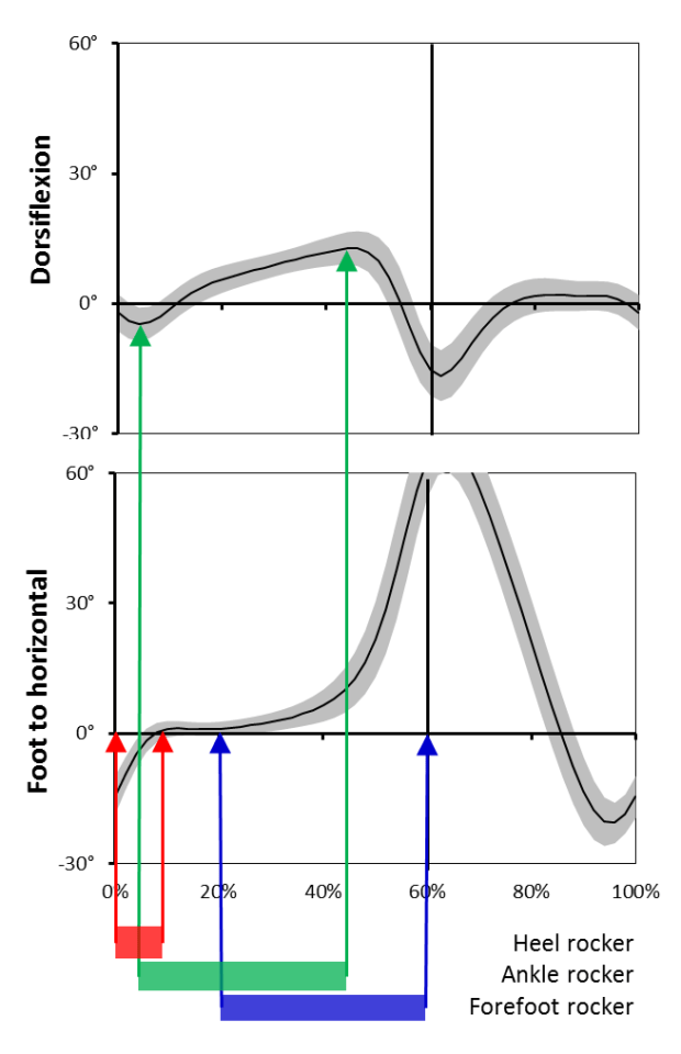 biomechanics | Walking with Richard