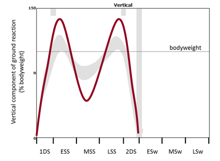 gait graphs | Walking with Richard