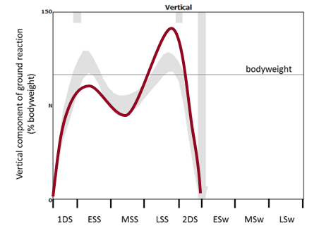 gait graphs | Walking with Richard