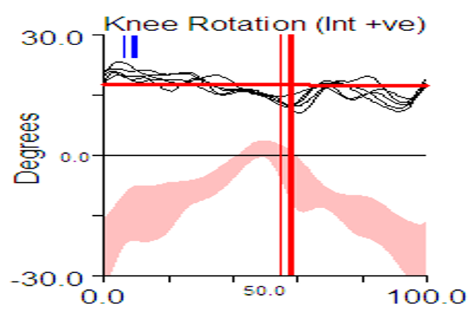 biomechanics | Walking with Richard